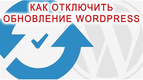 Как отключить обновление плагинов и Wordpress Отключаем запросы на
