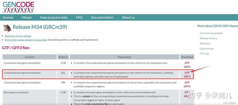 零基础入门转录组下游分析——数据处理（自测序数据）