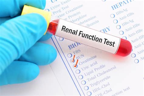 Renal Function Test