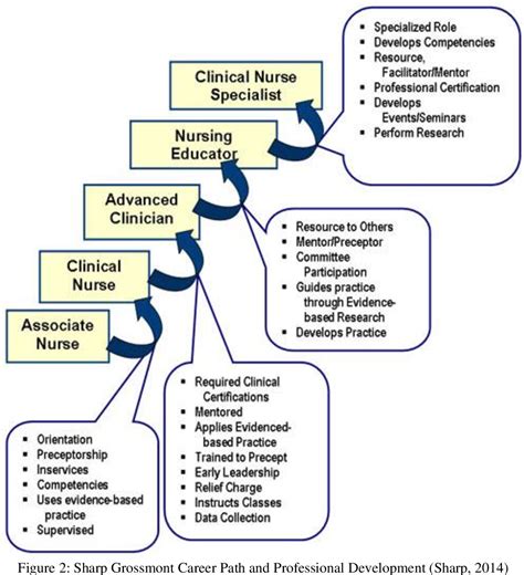 Figure 2 From Professional Development And Career Pathway In Nursing