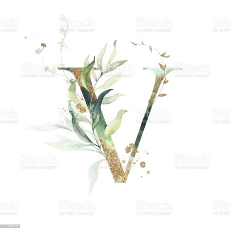 수채화 골드 그린 꽃 알파벳 편지 기호 화이트 골드 그린 식물 꽃 가지 꽃다발 구성과 자본 V 녹색에 대한 스톡 벡터 아트 및 기타 이미지 Istock