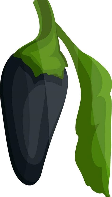 Dark Blue Chilli Pepper With Green Leaf Vector Illustration Of