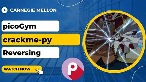 Picogym Picoctf Exercise Crackme Py