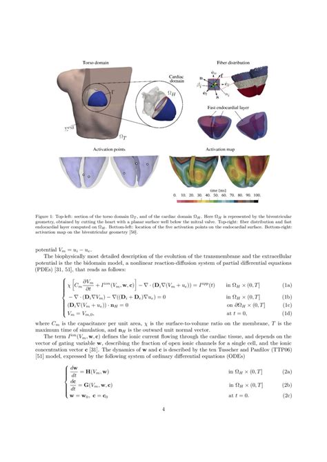 A Staggered In Time And Non Conforming In Space Numerical Framework For Realistic Cardiac