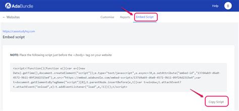How To Embed Ada Bundle Script Using Html Embed Ada Bundle Support