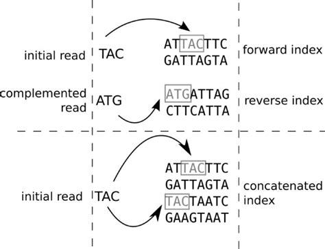 Comparison Of The Original Bwa Alignment Method Top And The Modified Download Scientific