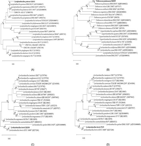 Current Topics In Lactic Acid Bacteria And Probiotics