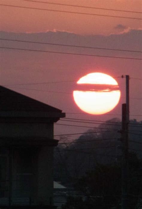 スーパーきのこ時代への最初の一歩 夢みるきのこ 楽天ブログ