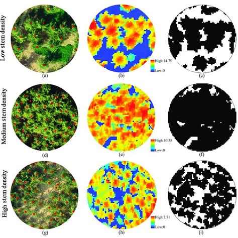 Pdf Assessment Of Individual Tree Detection And Canopy Cover Estimation Using Unmanned Aerial