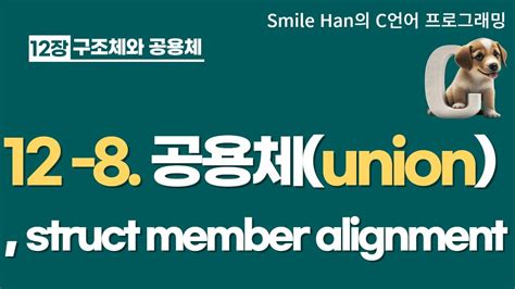 C언어 12 8 공용체 union 구조체 멤버 정렬 struct member alignment YouTube