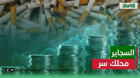 بـ 45 مليار جنيهالحكومة تكشف موعد حل أزمة السجايروده اللي حصل بعد