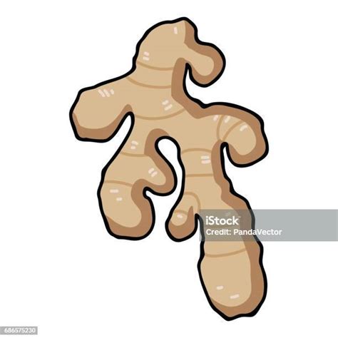 생강 흰색 배경에 고립 된 만화 스타일에서 아이콘 허브 향신료 기호 스톡 벡터 일러스트 레이 션입니다 0명에 대한 스톡 벡터 아트 및 기타 이미지 Istock