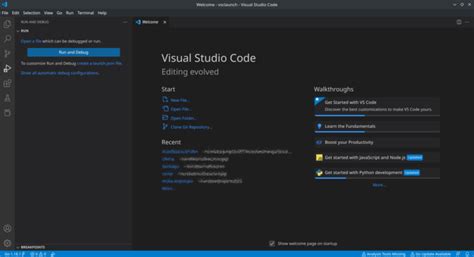 Working With VS Code Launch Configurations Gigi Labs