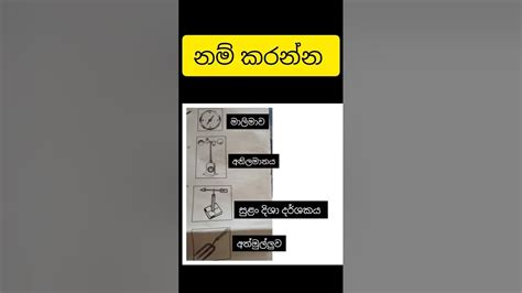 Environment Lesson පරිසරය Question And Answer Photos පින්තූර ප්‍රශ්න