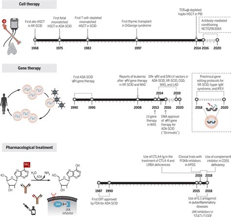 Human Inborn Errors Of Immunity An Expanding Universe Science Immunology