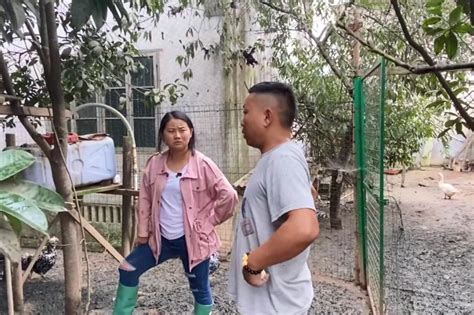 农村养什么容易又赚钱，不是养猪不是养羊，干好一年能赚10多万！凤凰网视频凤凰网