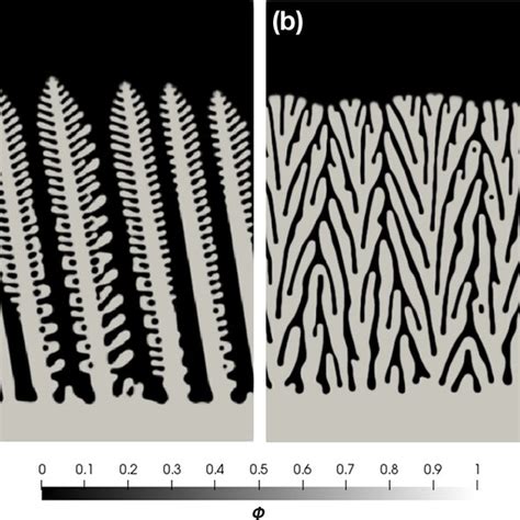 Evolution Of Columnar A Dendrites And B Seaweed Microstructures