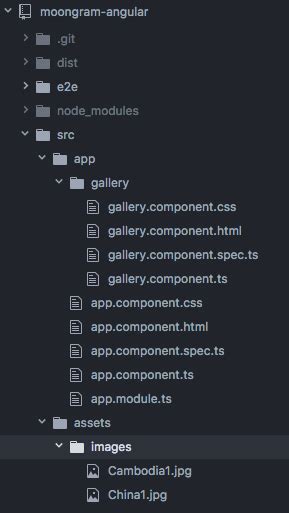 Plan First Build Second Lessons From An Angular2 Photo Gallery By Michelle Medium