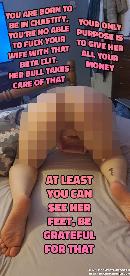 Beta Program Tumblr Com Tumbex