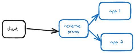 Forward Proxy Vs Reverse Proxy LINISNIL