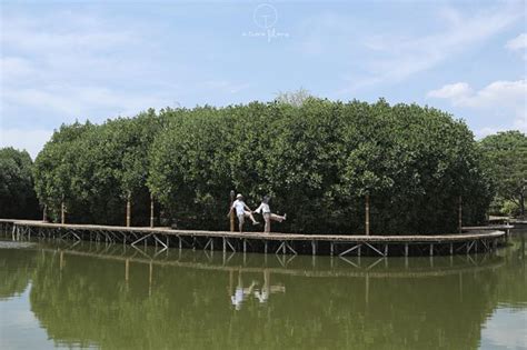 Amel And Arya Couple Session A Time Films Bridestory