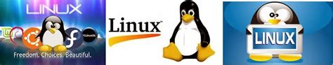 Linux Reference Chapter