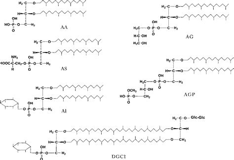 Figure 1 From Densitometric Quantification Of Ether Type Phospholipids