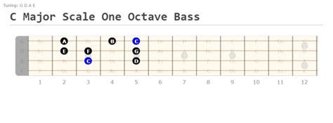 Bass Intervals Easy Beginners Practice Guide With Pdf
