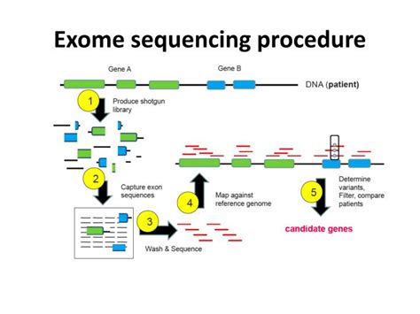 PPT Whole Exome Sequencing For Variant Discovery And Prioritisation PowerPoint Presentation