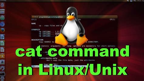 Explore The Versatility Of The Linux Cat Command