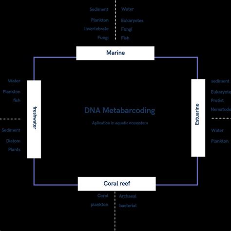 Schematic Diagram Of An Aquatic Ecosystem With Dna Metabarcoding