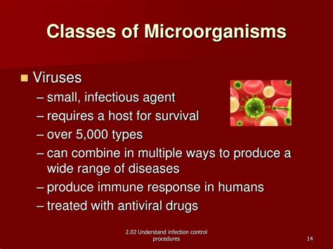 Ppt Classes Of Microorganisms Powerpoint Presentation Free Download Id4259283 Ppt Classes Of Microorganisms Powerpoint Presentation Free Download Id4259283