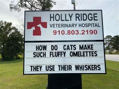 20 Chucklesome Vet Clinic Signs Out On Display