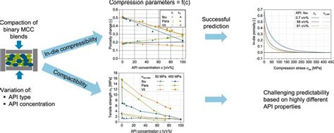 Influence Of The Drug Deformation Behaviour On The Predictability Of