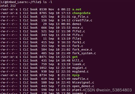 Linux学习：对文件的创建及读取操作linux中打开一个文本文件向该文本文件中写入自己的姓名然后读取两个字节数 Csdn博客