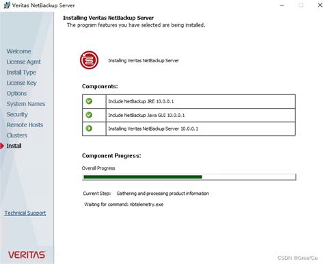 veritas netbackup10 1 windows安装 veritas 怎么安装 csdn博客