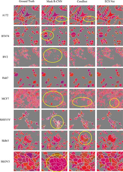 Visualisation Of Model Segmentation Results Yellow Circles Show Weak Download Scientific