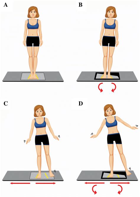 Representation Of A The Initial Posture Preceding A Perturbation And