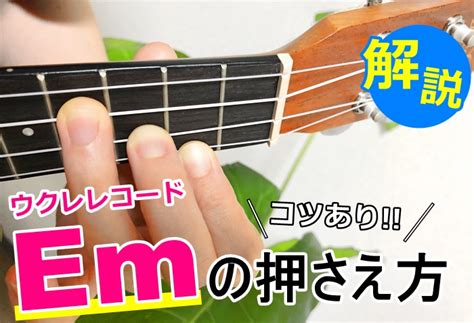 ウクレレコード ウクレレノトリコ