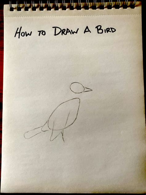 How To Draw A Step By Step Bird
