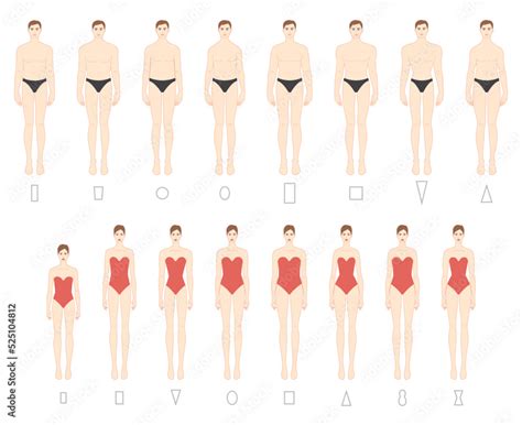 Set Of Women Men Body Shape Types Male And Female Vector Illustration