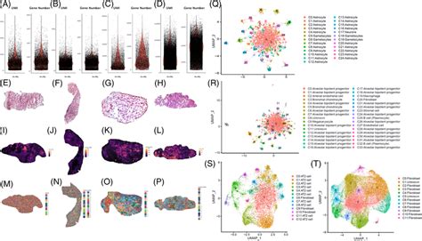 The Visualised Image Of Spatial Transcriptomics Quality Control Ad Download Scientific
