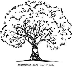 Beautiful Abstract Art Tree Reflection On Stock Vector Royalty Free 78405964