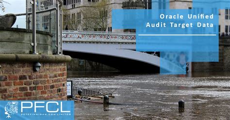 Limited On Linkedin Oracleace Unified Audit