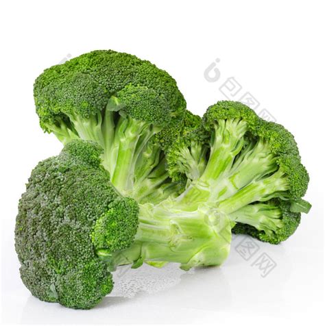 花椰菜 包图企业站
