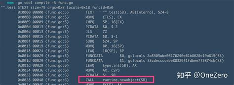 Golang 内存逃逸分析 知乎