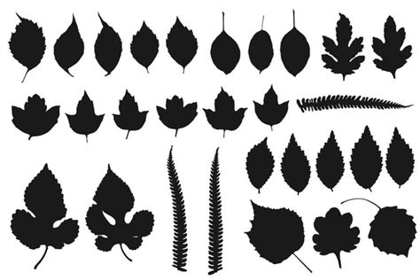 Big Tree Victoria Falls Over Royalty Free Licensable Stock Illustrations Drawings