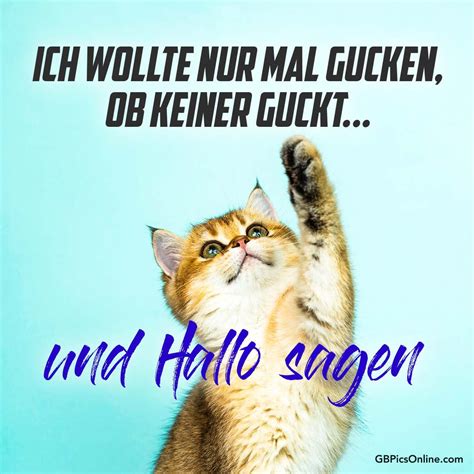 Hallo Sagen