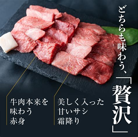 【楽天市場】熟成飛騨牛 山勇牛 父の日 焼肉 切り落とし 500g 送料無料 熟成肉 切落し 食べ比べ バーベキュー アウトドア A4a5