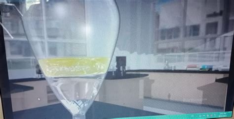 S Yeshi Ict Science Lesson With Ict Integration Reflection